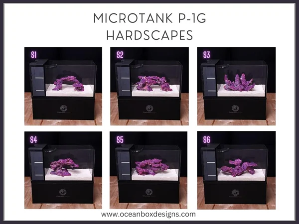 MicroTank P-1G Micro-Reef Hardscapes – Oceanbox Designs