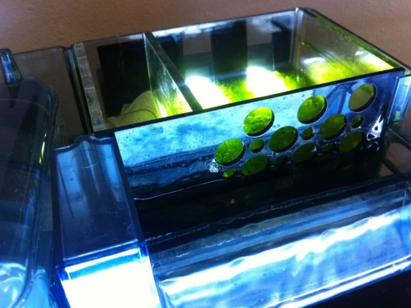 Aquaclear AC70 Ultimate Filtration Kit by inTank & Oceanbox Designs ...