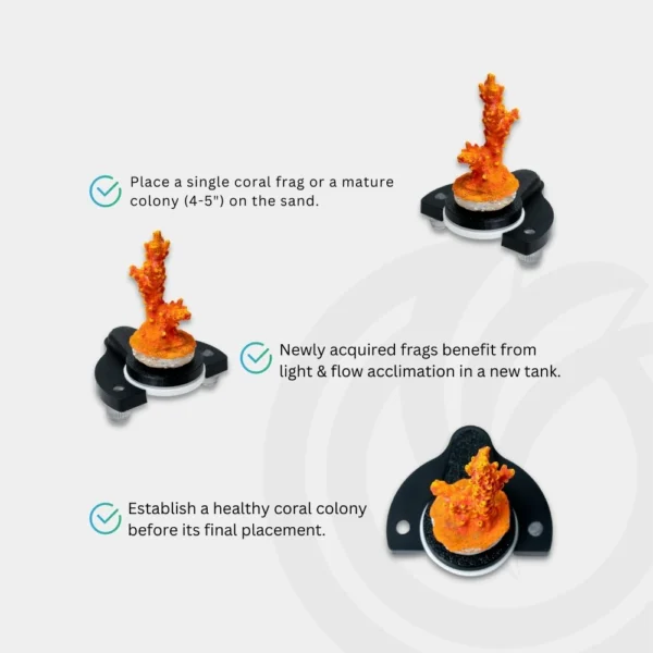 CoralOne POD Modular Solo Frag Stand (Classic) – Oceanbox Designs